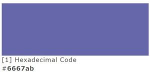 2022年A/Wトレンドカラー紫 パーソナルカラー別似合う紫＆心理的効果について@東京・青山